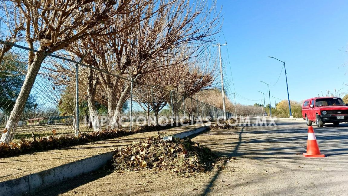 Instruye Aidé López de Anda campaña de limpieza para mejorar las calles ...