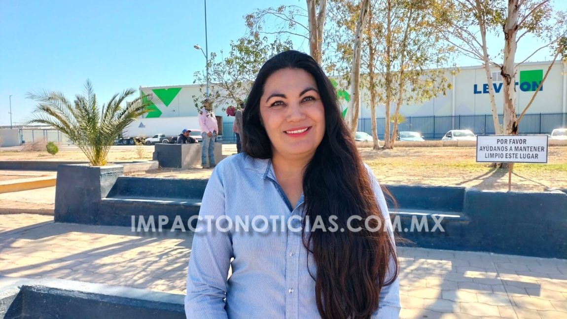 Gestionó Brigada 112 más de 7 mil árboles nativos con Grupo México ...