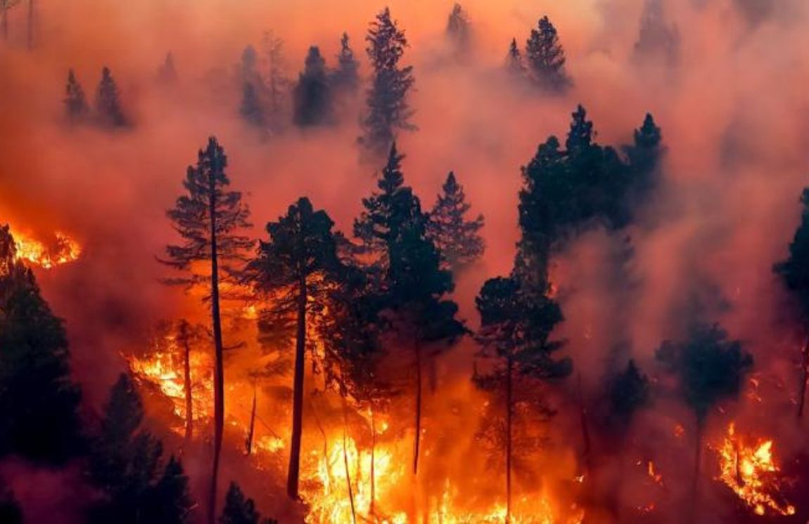 Fuertes incendios forestales consumen sur de Chile | ImpactoNoticias.com.mx