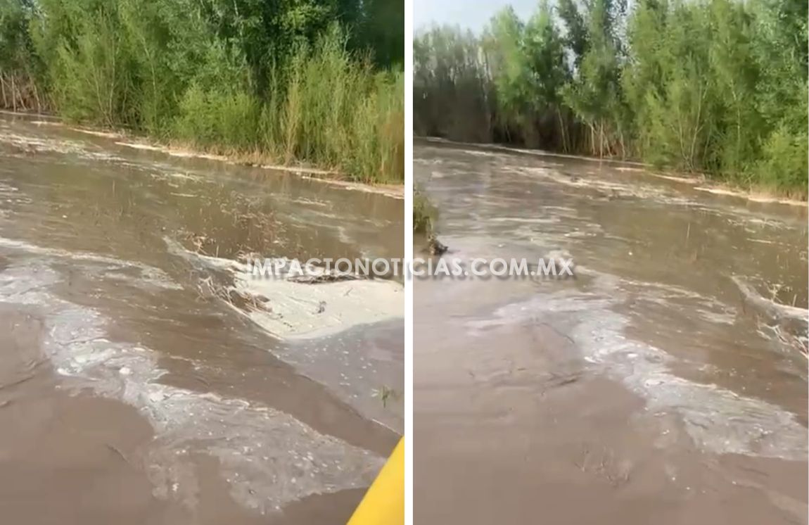 Recobra vida el rio Conchos a la altura de Morieleño | ImpactoNoticias ...