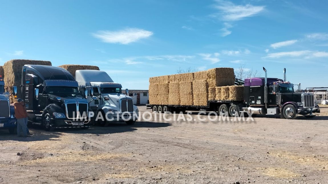 Entregan 200 pacas a productores de Camargo y la región ...