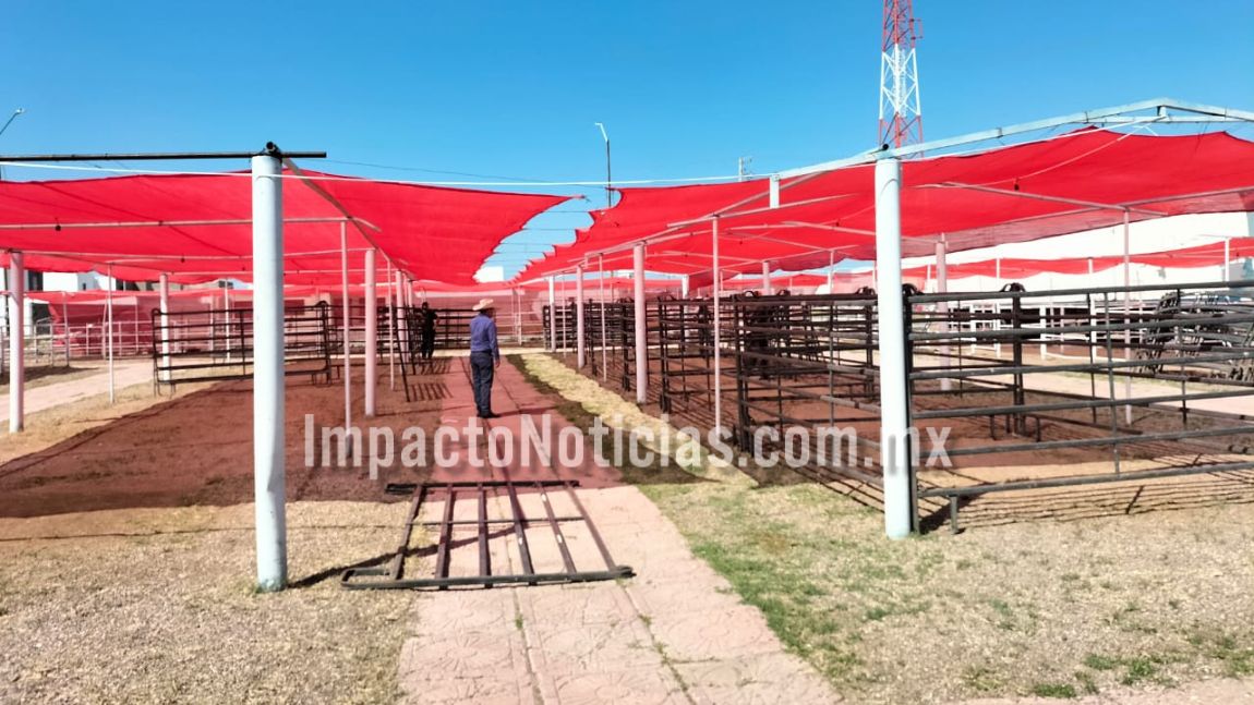 Todo listo para la exposición ganadera de la Expo Feria Camargo 2025 ...